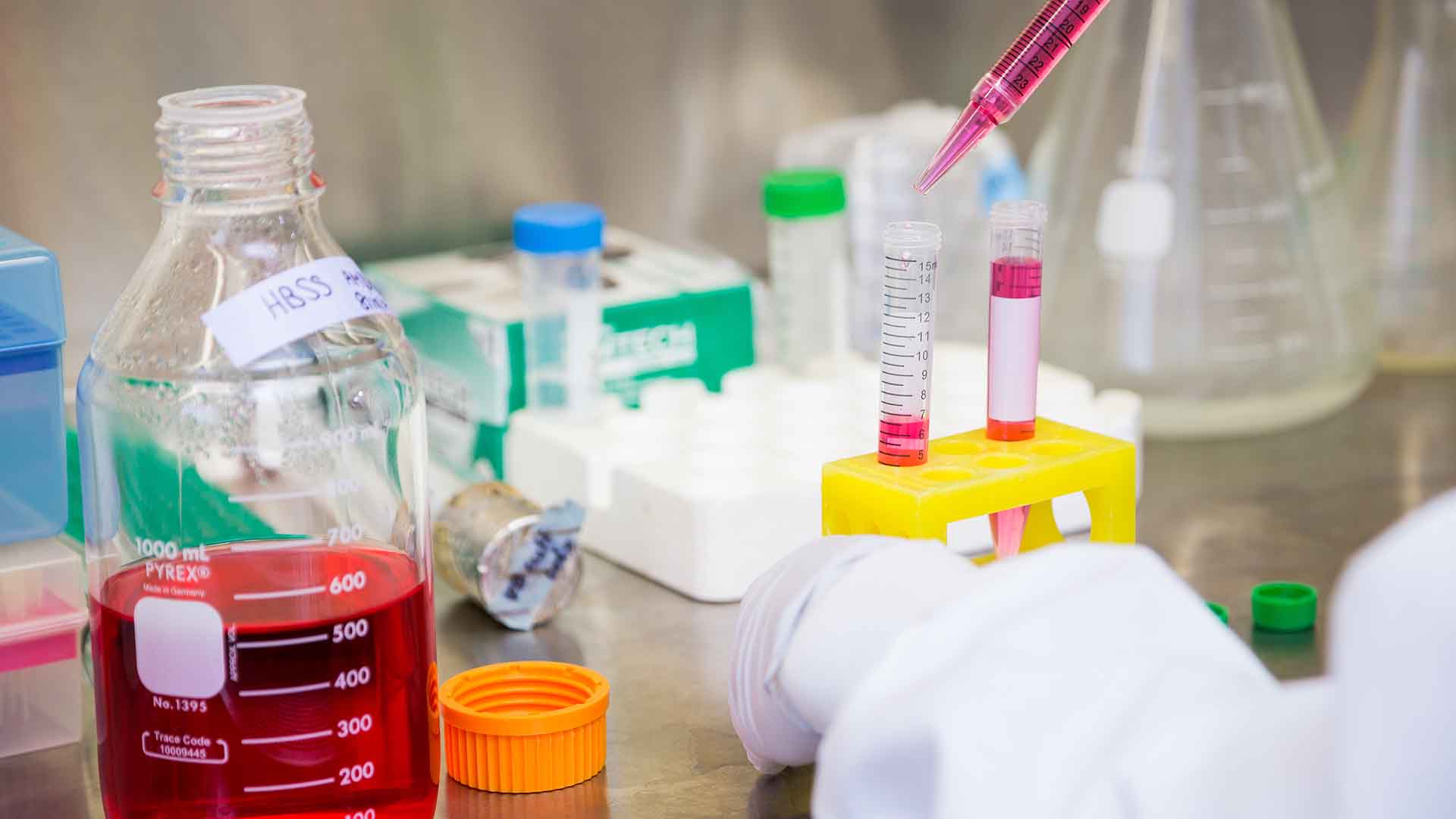 The Bioinnovation Center at Albany Medical College