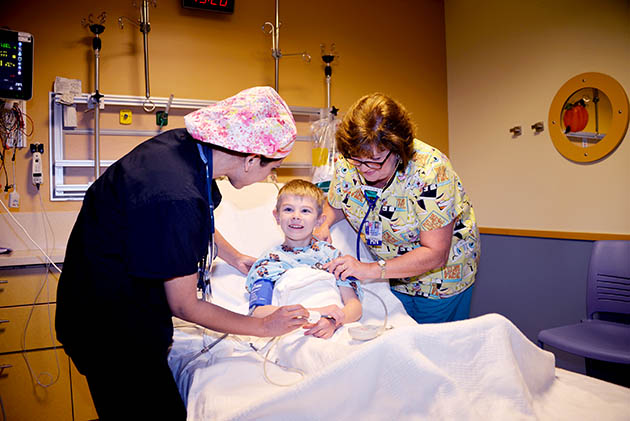 Curriculum | Nurse Anesthesiology Program | Albany Medical College